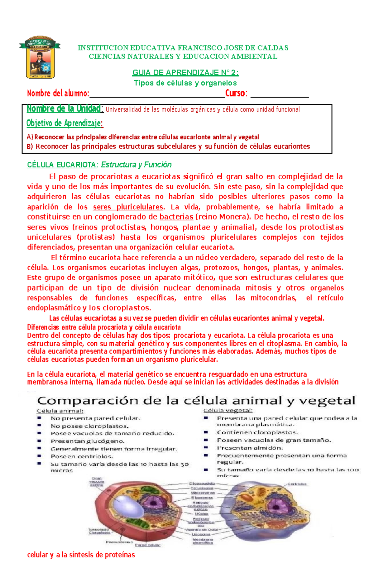 Célula y organelos 6 Y 7 1) - INSTITUCION EDUCATIVA FRANCISCO JOSE DE ...