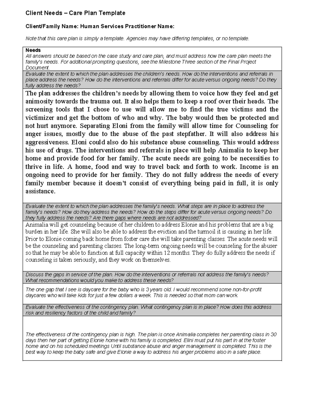HSE 315 Client Needs Care Plan Template - Client Needs – Care Plan ...