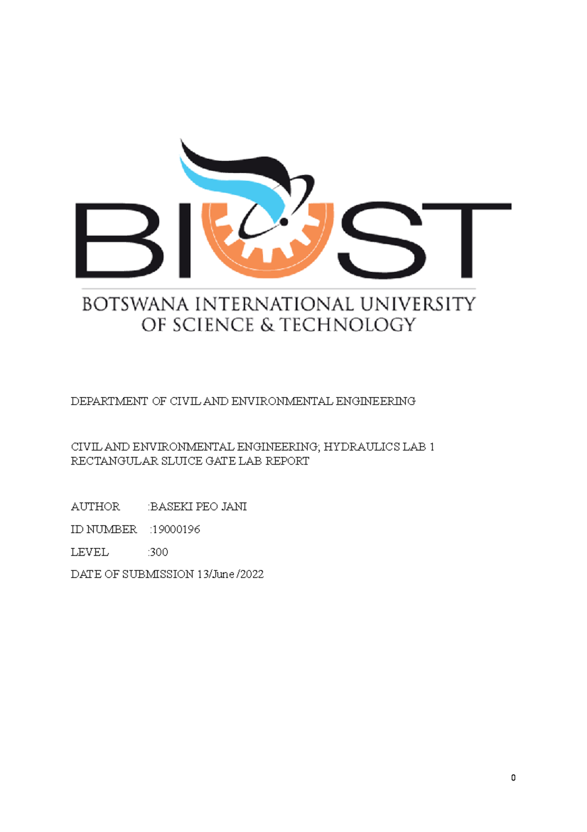 PEO Sluice Report - DEPARTMENT OF CIVIL AND ENVIRONMENTAL ENGINEERING ...