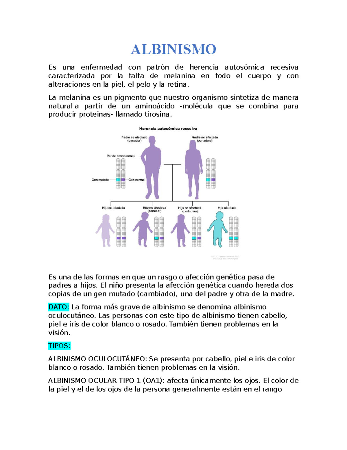 Albinismo - preparación para examen - ALBINISMO Es una enfermedad con ...