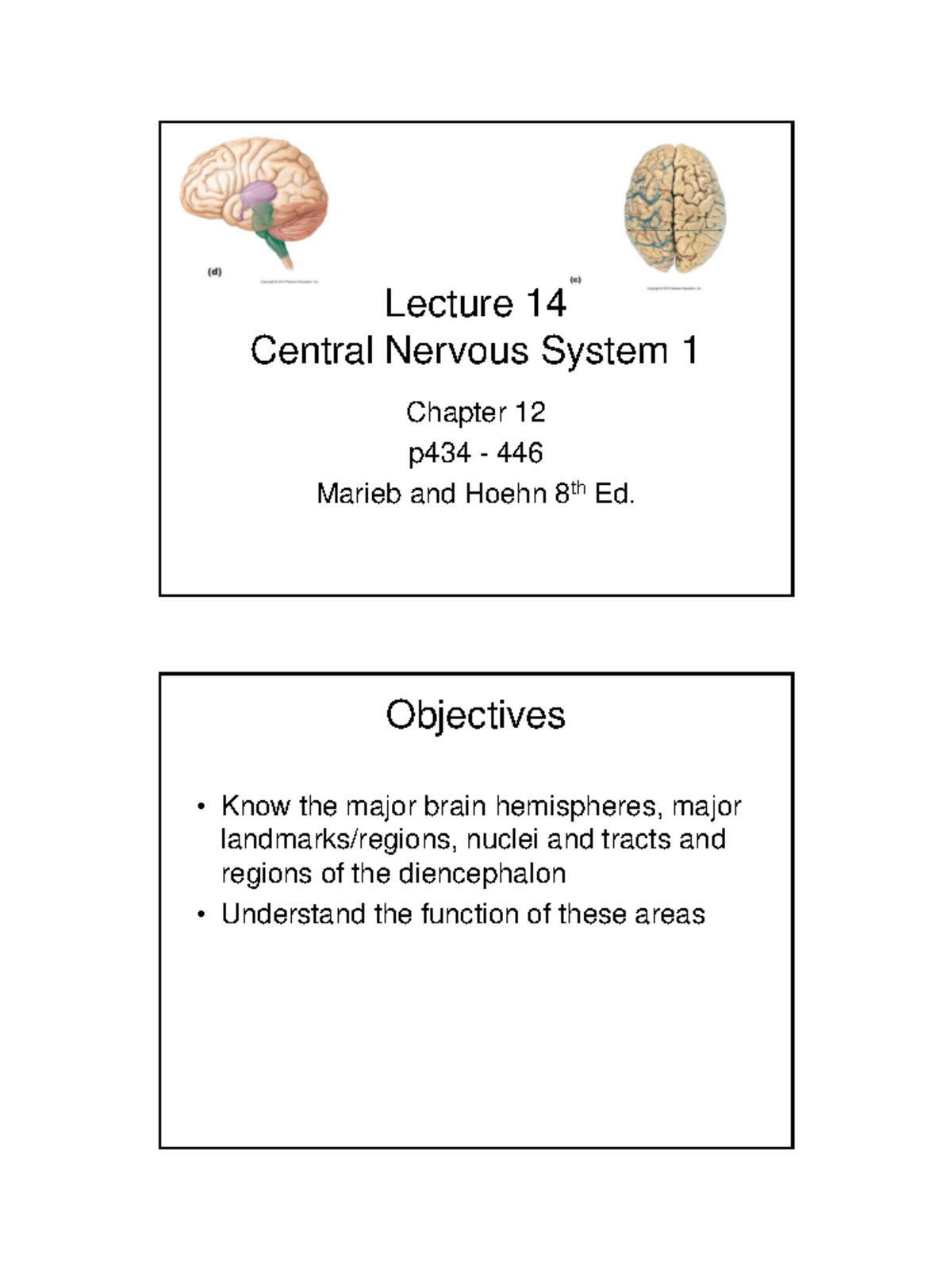 Lecture 14 Central Nervous System 1 2015 For Students - Lecture 14 ...