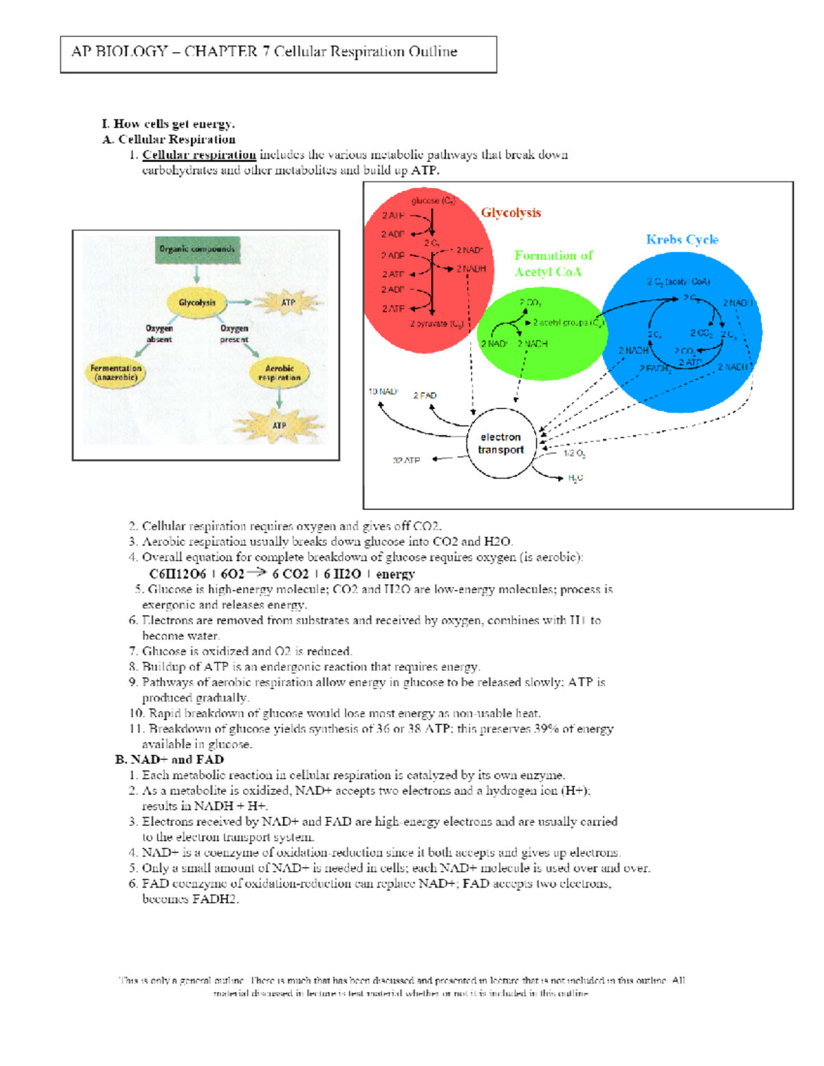 AP Biology Chapter 7 Cellular Respiration Outline (Study Guide) - FOS ...