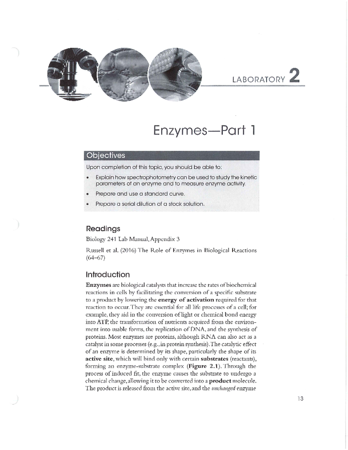 Lab 2 Enzymes - Lab - Physical Geology - Studocu
