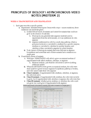 POB Exam 1B - KEY - practice material for the exams/ materials and ...