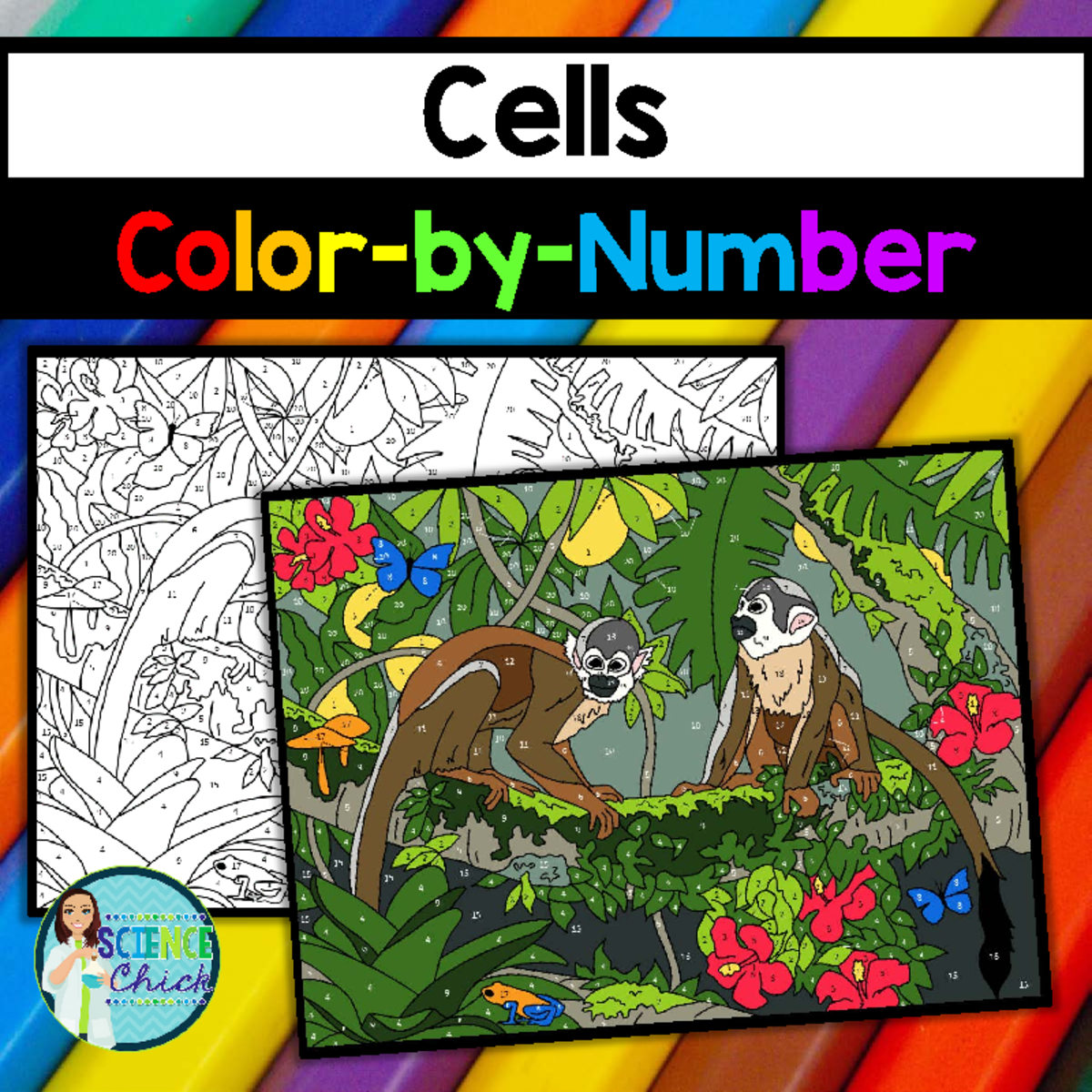 Cells Color-by-Number - Cells Color-by-Number Thank You! Thank you so ...