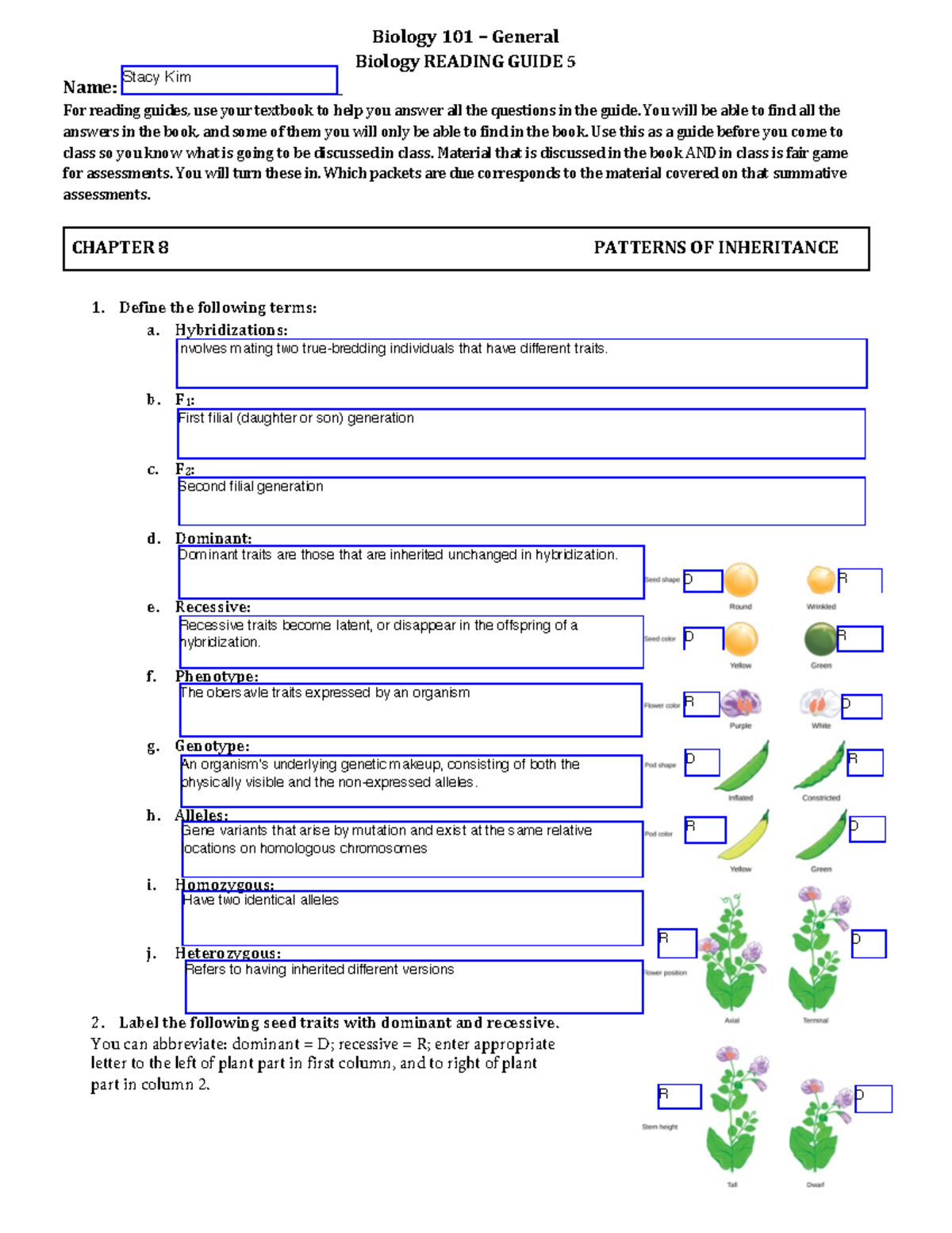 Stacy Kim Reading Guide 05 s24 ch8 - Biology 101 – General Biology ...