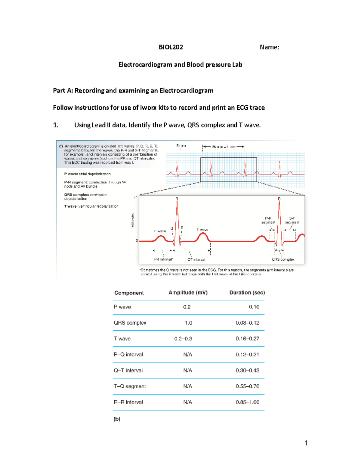 8 EKG & BP Lab - BIOL202 Name: Electrocardiogram and Blood pressure Lab ...