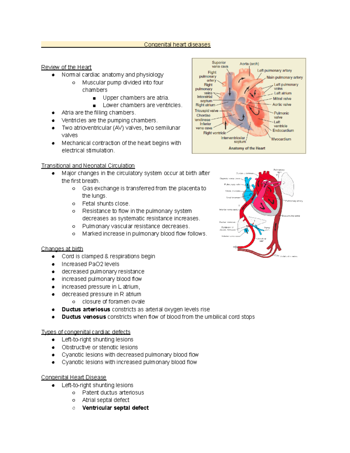 PEDS EXAM 3 Notes - Congenital heart diseases Review of the Heart ...