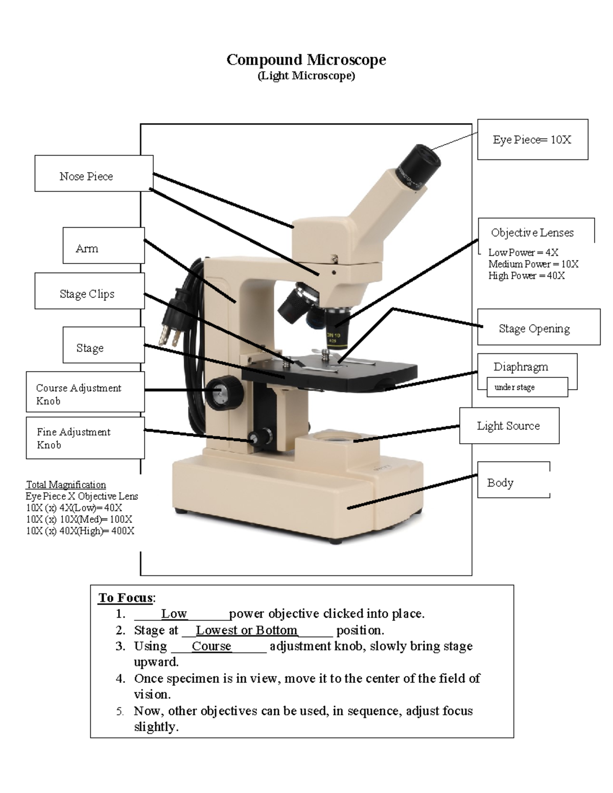 Four Compound Light Microscope With Objectives