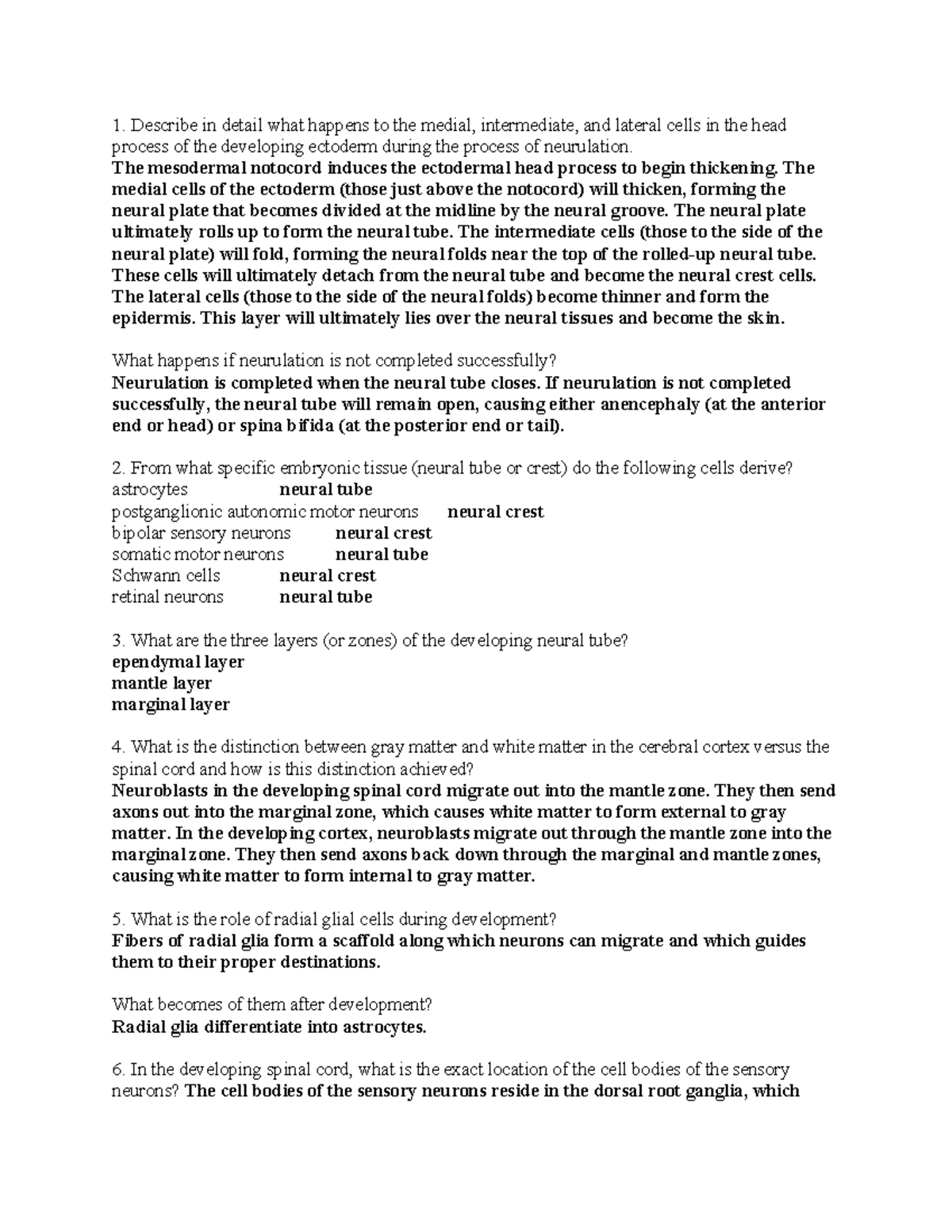 QA 04 2012 - Practice Questions, Dr. Sesack - Describe in detail what ...