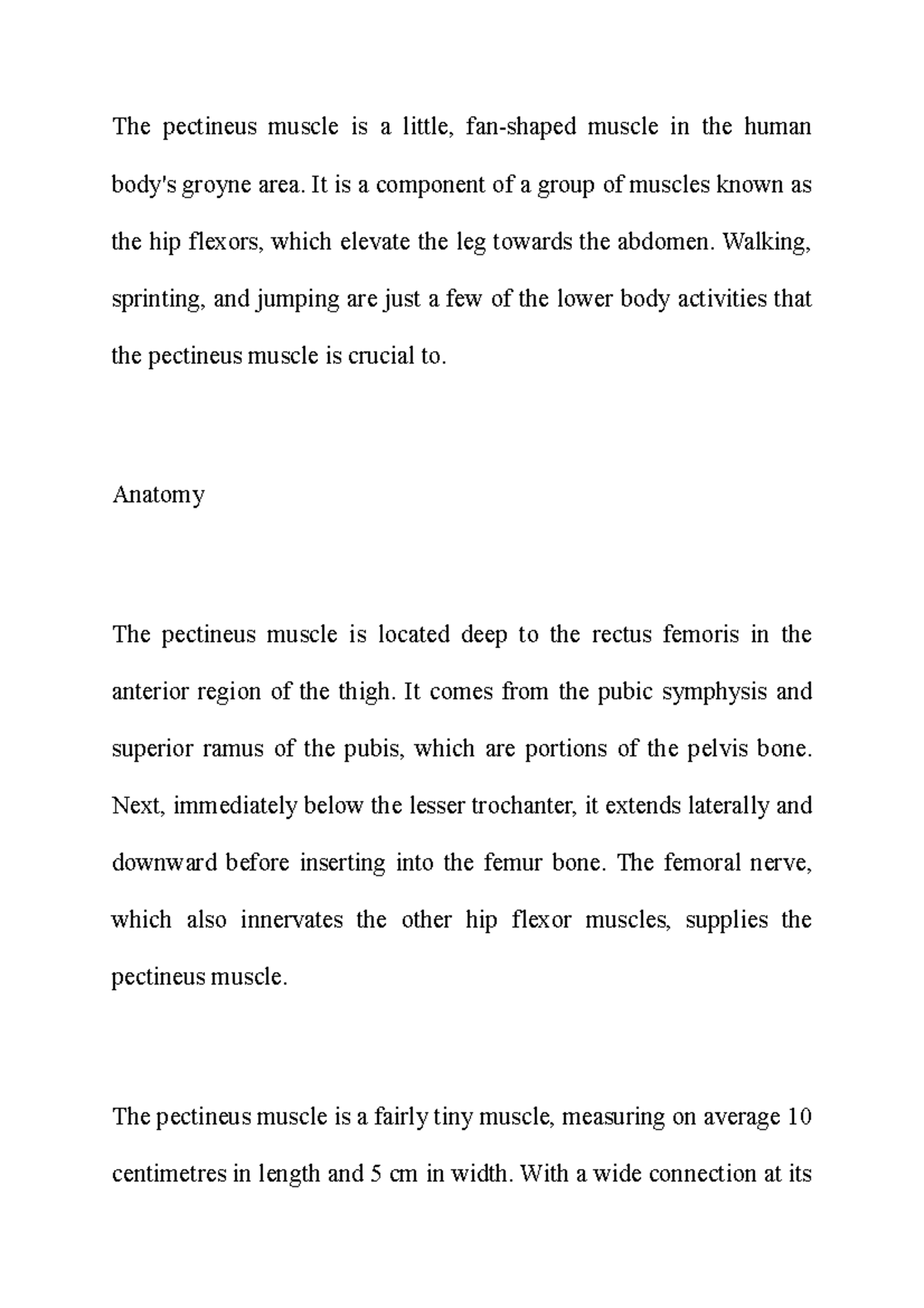 The pectineus muscle - bhv - The pectineus muscle is a little, fan ...