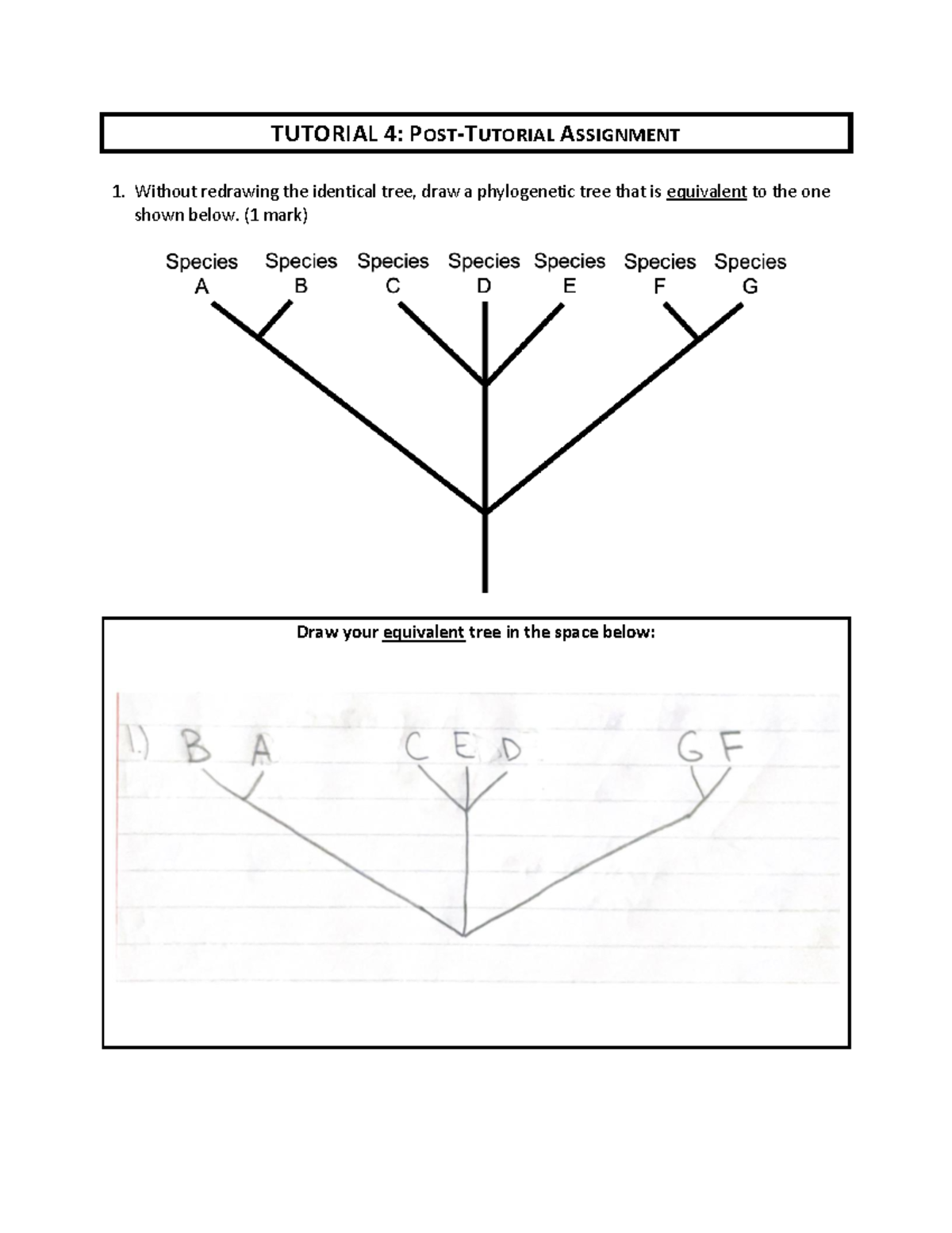 Post-tutorial 4 Assignment W2023 - TUTORIAL 4 : POST-TUTORIAL ASSIGNMENT 1. Without redrawing ...