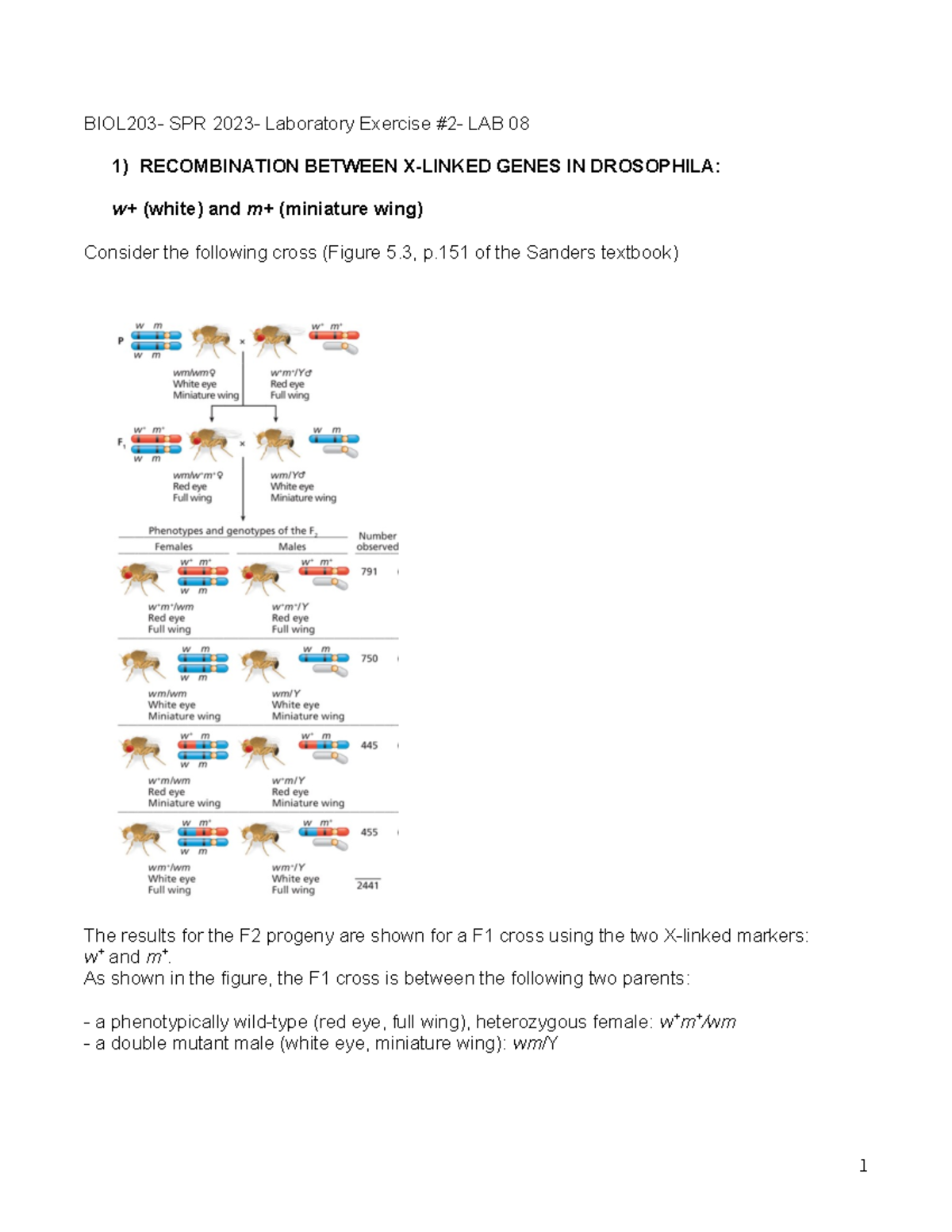 Lab Exercise 2 genetics - BIOL203- SPR 2023- Laboratory Exercise #2- LAB 08 RECOMBINATION ...