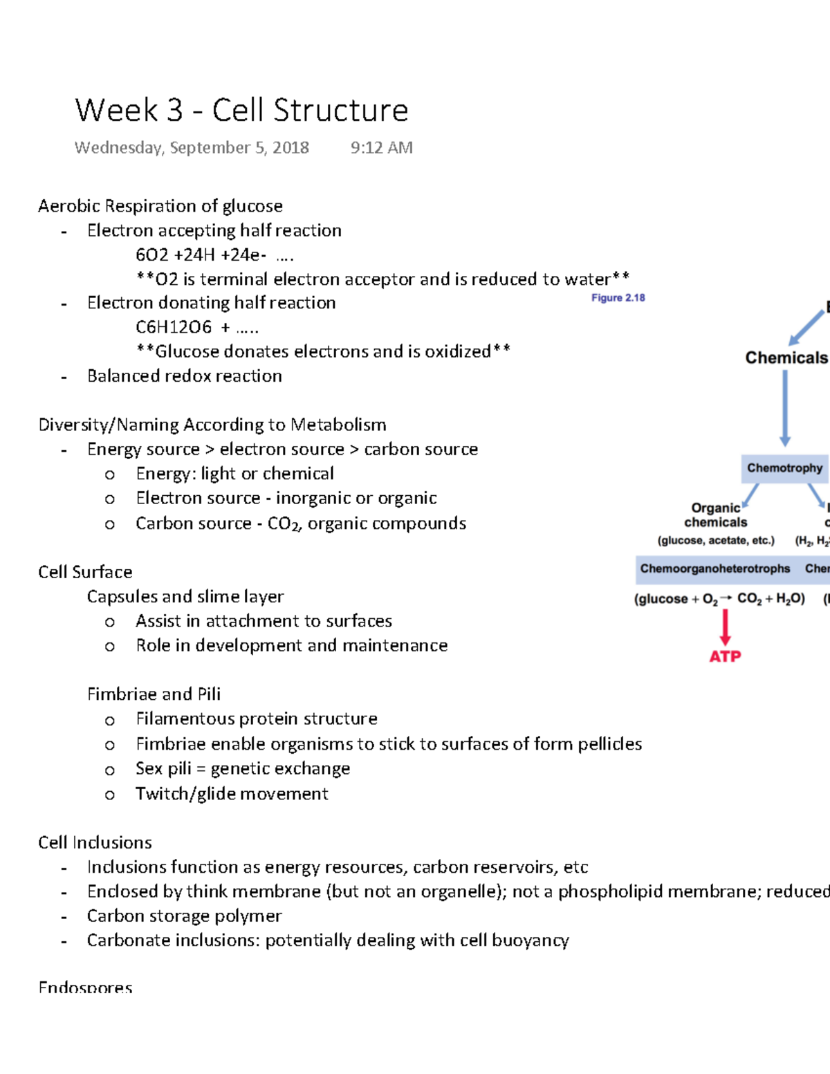 8/31 & 9/5 Cell Structure Lecture Notes - Week 3 Cell Structure ...