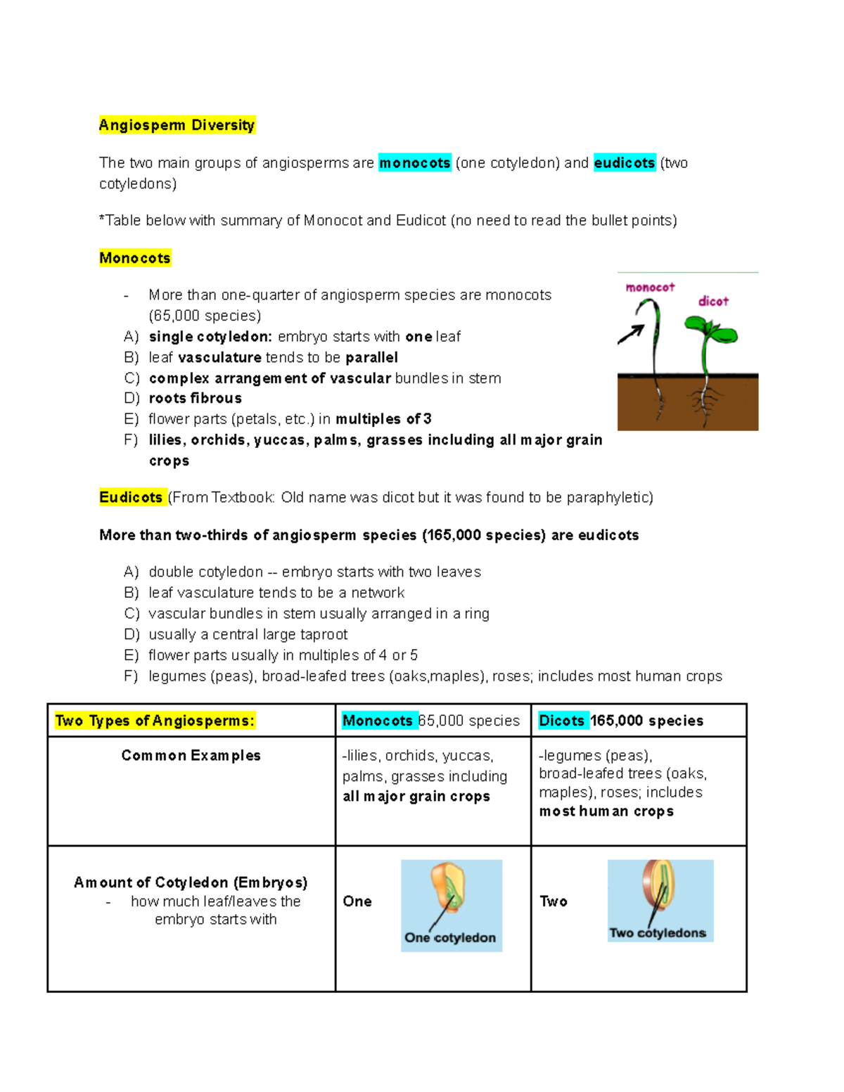 Final Lec. 22 (Plant Growth) - Angiosperm Diversity The two main groups ...