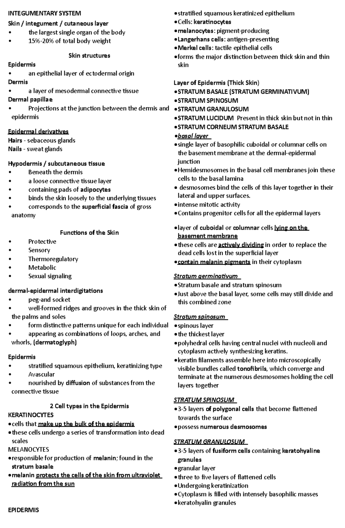 Integumentary- System-notes - INTEGUMENTARY SYSTEM Skin / integument ...
