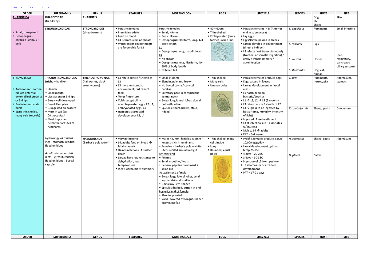 Parasitology Information Charts - ORDER SUPERFAMILY GENUS FEATURES ...