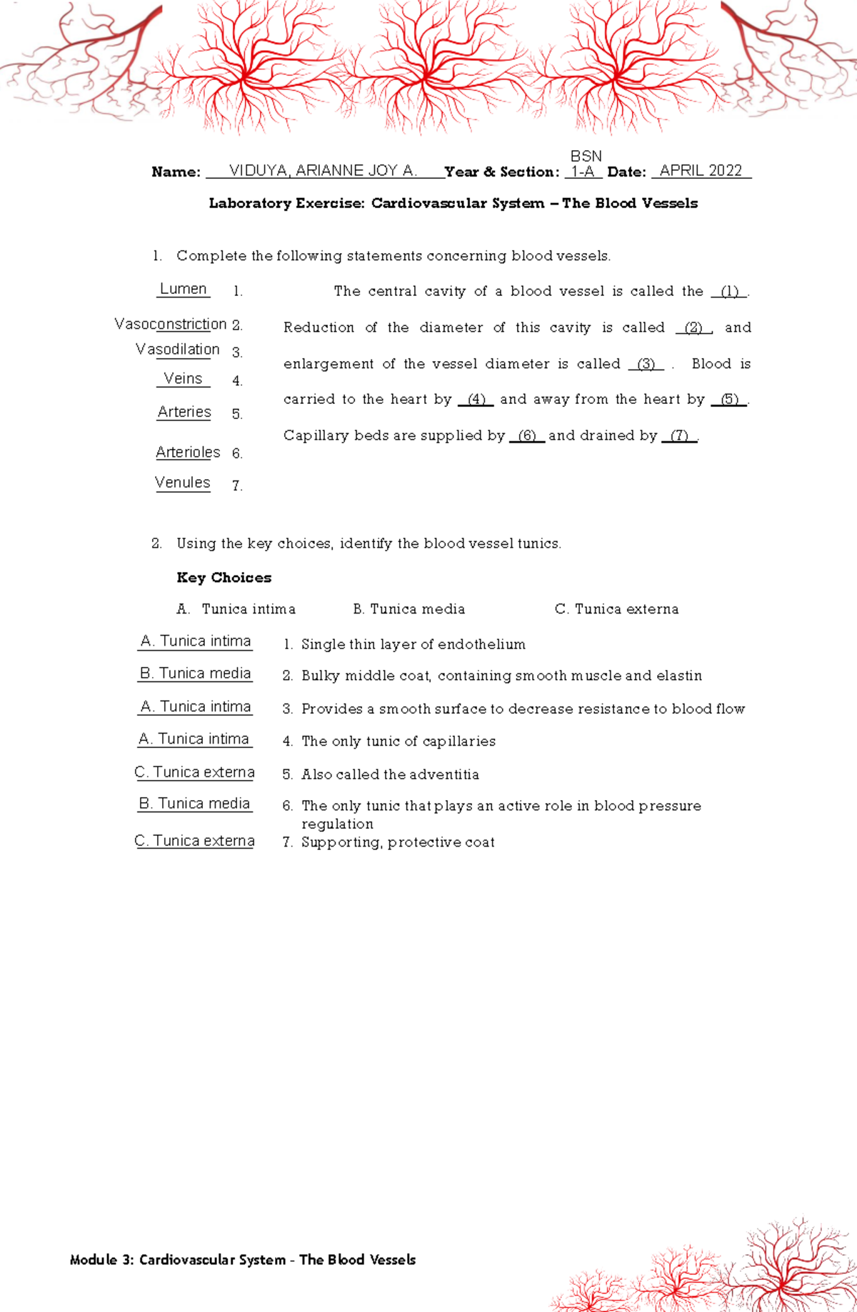Module 3 Blood- Vessels Laboratory Exercises - Name: _______________________________Year & - Studocu