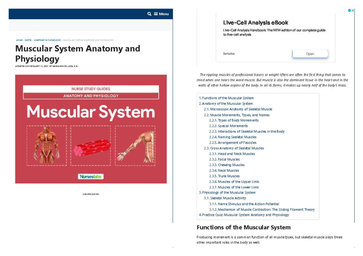 Muscular System Anatomy and Physiology - Nurseslabs - HOME » NOTES ...