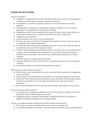 Animal - notes - The diversity of animal species on Earth, which ranges ...