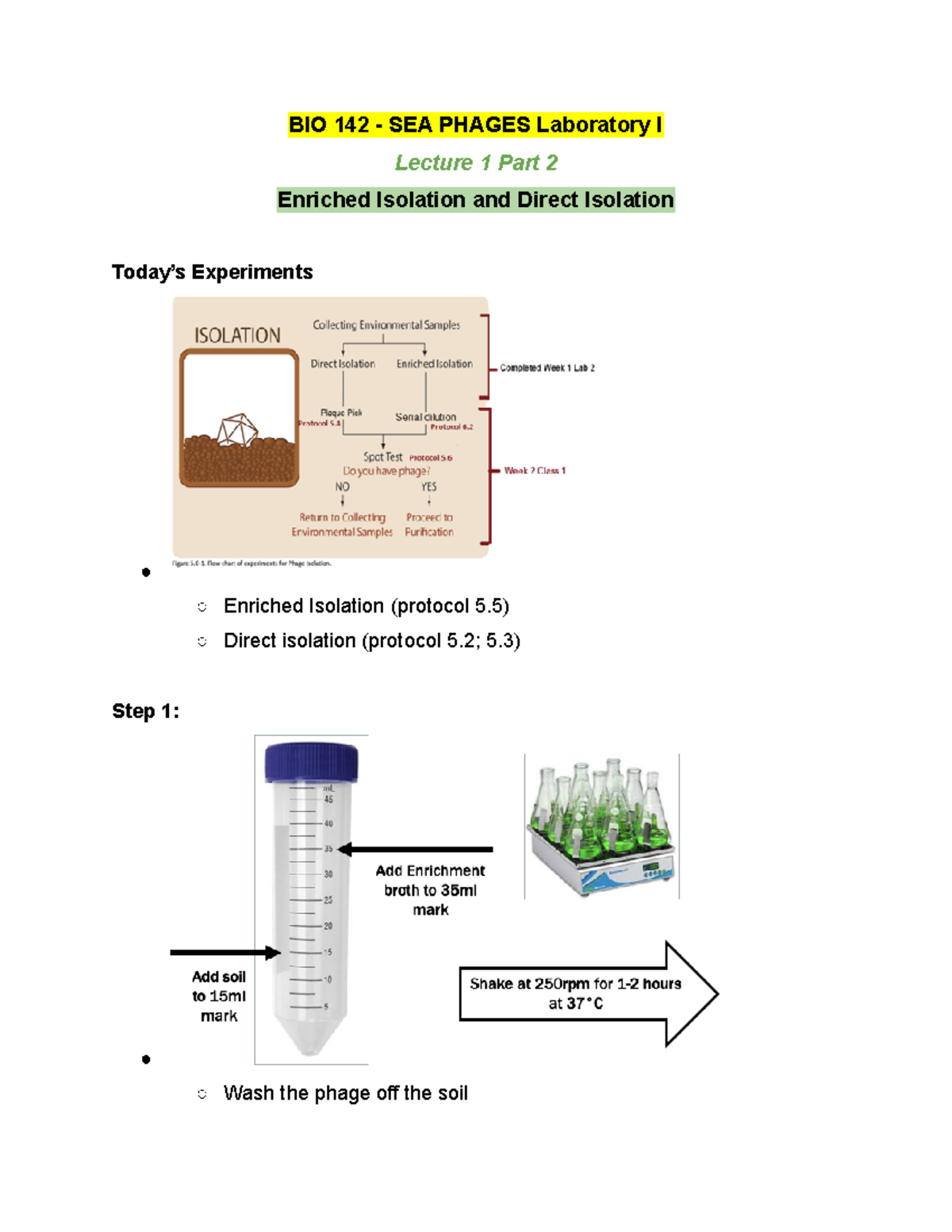 BIO 142 Lecture 1 Part 2 - Fall 2018 - BIO 142 - SEA PHAGES Laboratory ...
