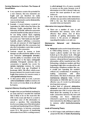 The Collins and Loftus Model (Cognitive Psychology) - Cognitive ...