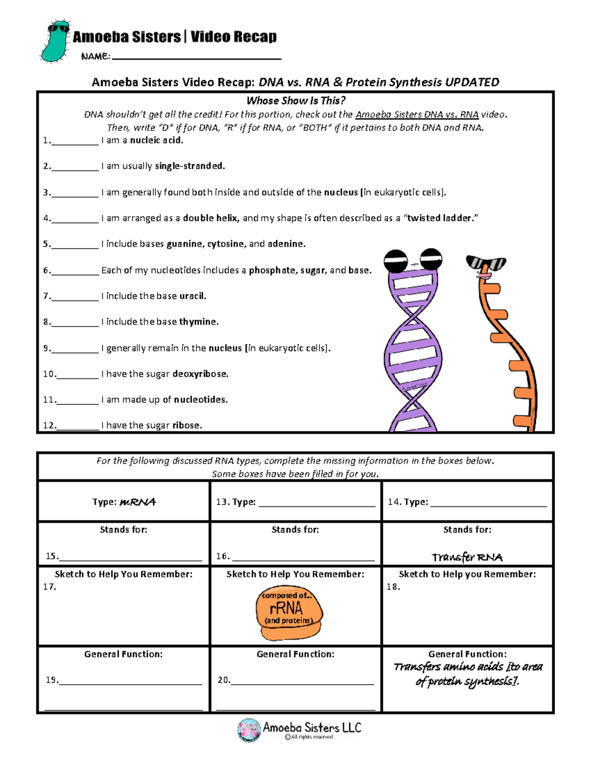 Copy of amoeba sisters protein syn video ws - Amoeba Sisters Video ...
