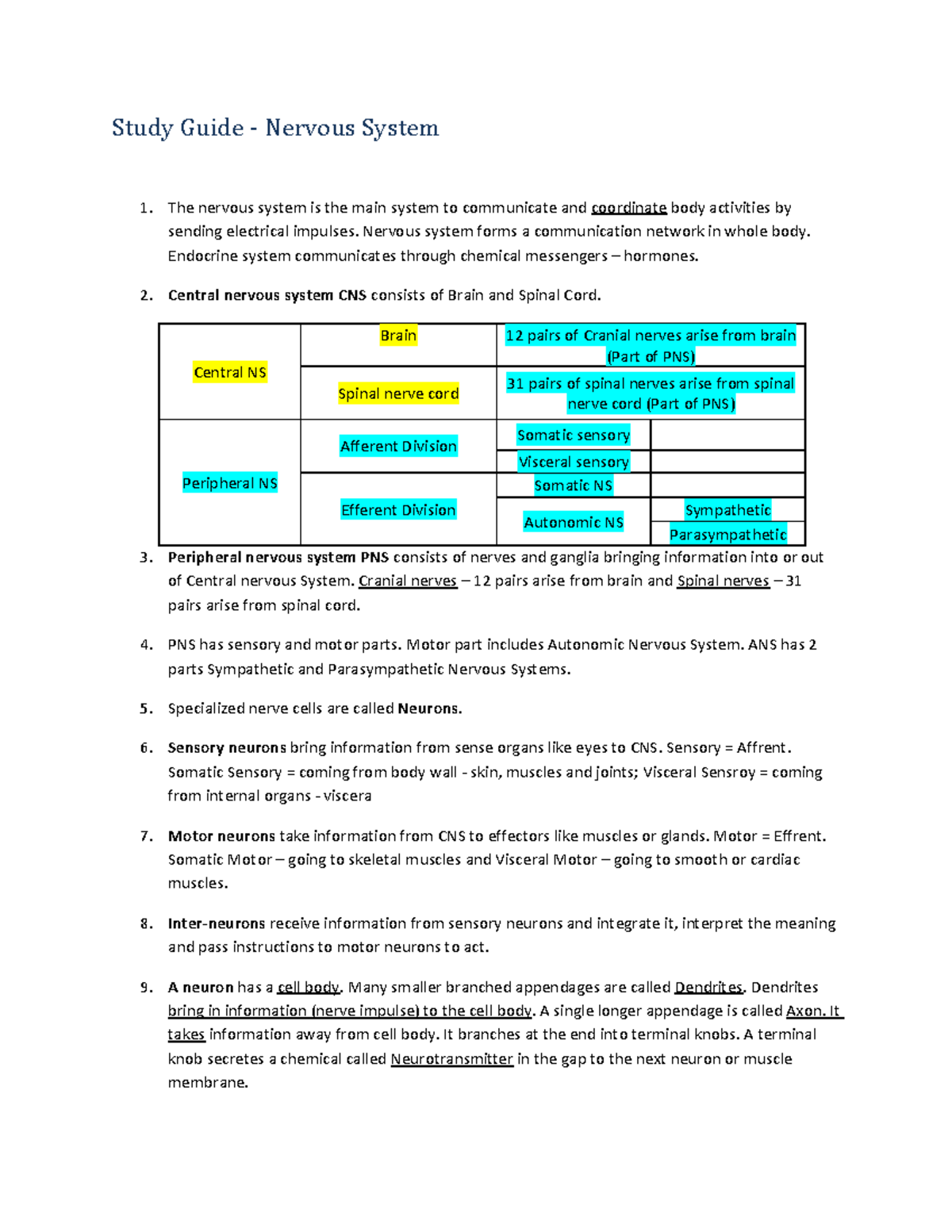 Study Guide Nervous System juman physiology - BIOL 261 - Studocu