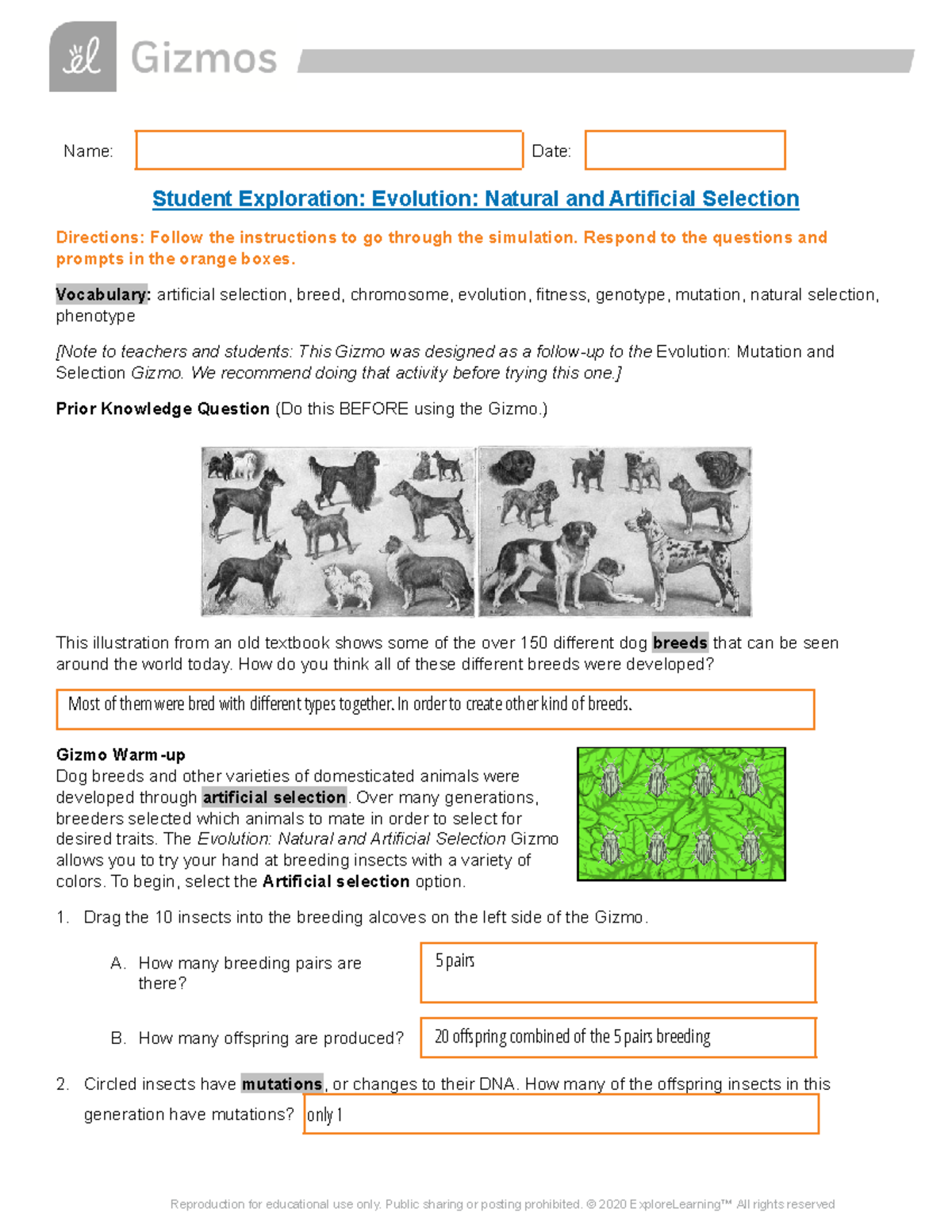 Natural Selection Worksheet.Kami gizmo worksheet - Name: Date: Student ...