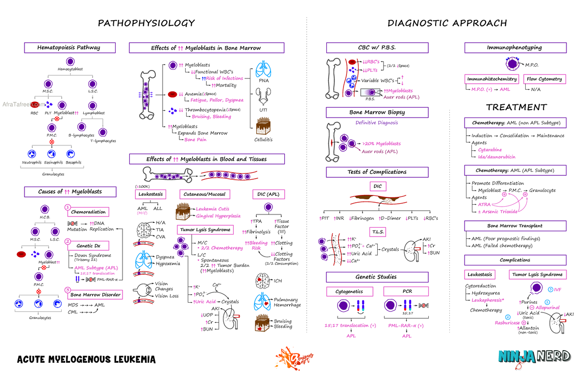 Acute Myelogenous Leukemia (AML) (1) atf - Chemoradiation Genetic Dx ...
