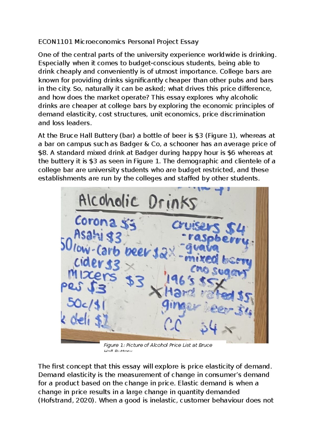 ECON1101 Microeconomics Personal Project Essay - Especially when it ...