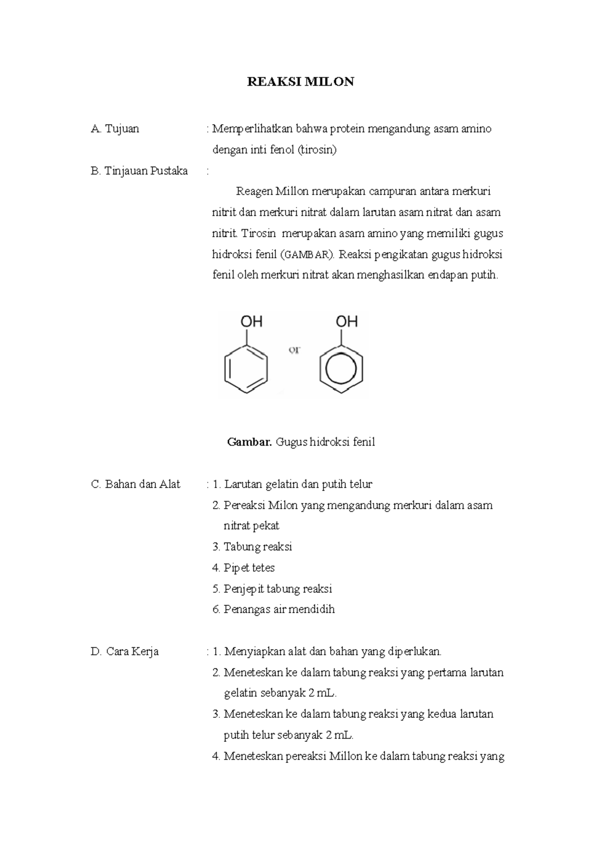 Laporan Praktikum Biokimia Identifikasi Makromolekul Reaksi Milon ...