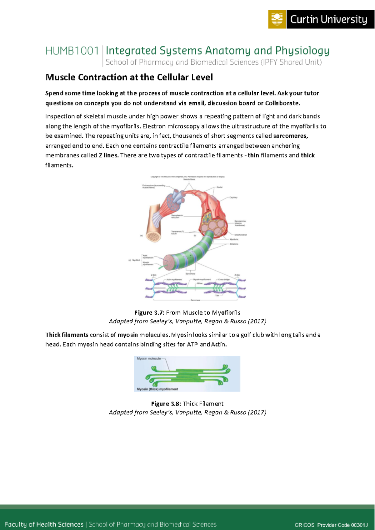 5783492 - Notes for exams and tests - Muscle Contraction at the ...