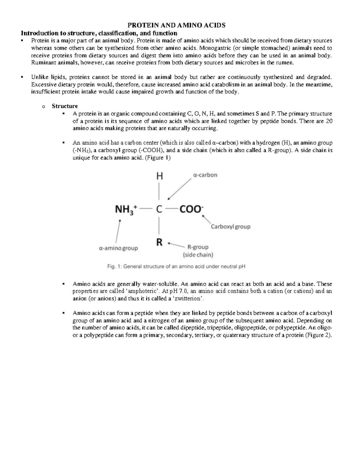 Proteins - Notes. - PROTEIN AND AMINO ACIDS Introduction to structure ...