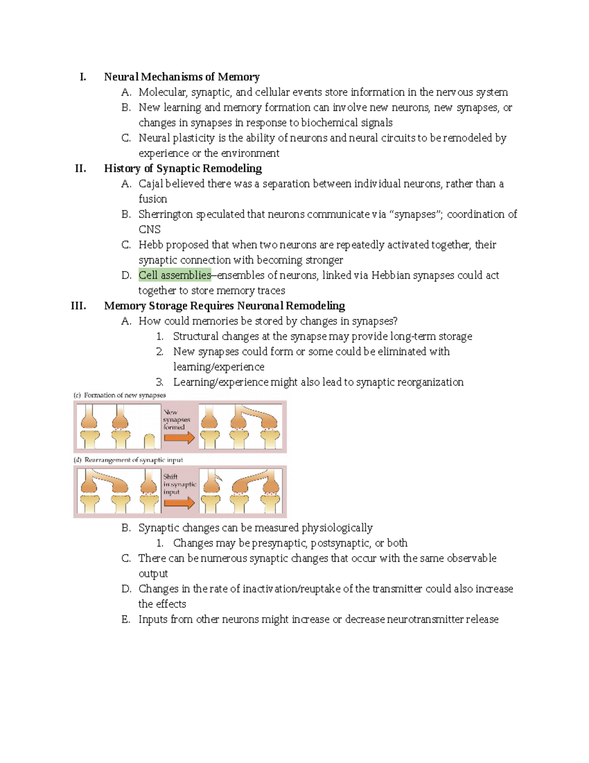 Learning and Memory- Part 2 - Psych 330 - UMass Amherst - Studocu