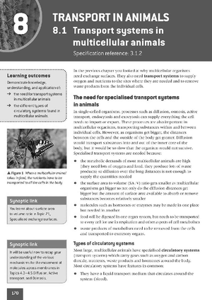 biology a level - Sixth Form (A Levels) - Studocu