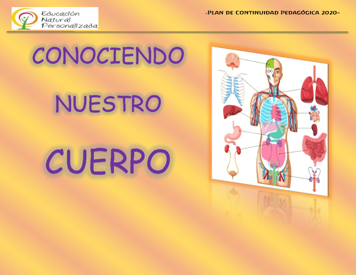 Conociendo Nuestro Cuerpo Humano PDF - CONOCIENDO NUESTRO CUERPO TALLER: SISTEMA CIRCULATORIO ...