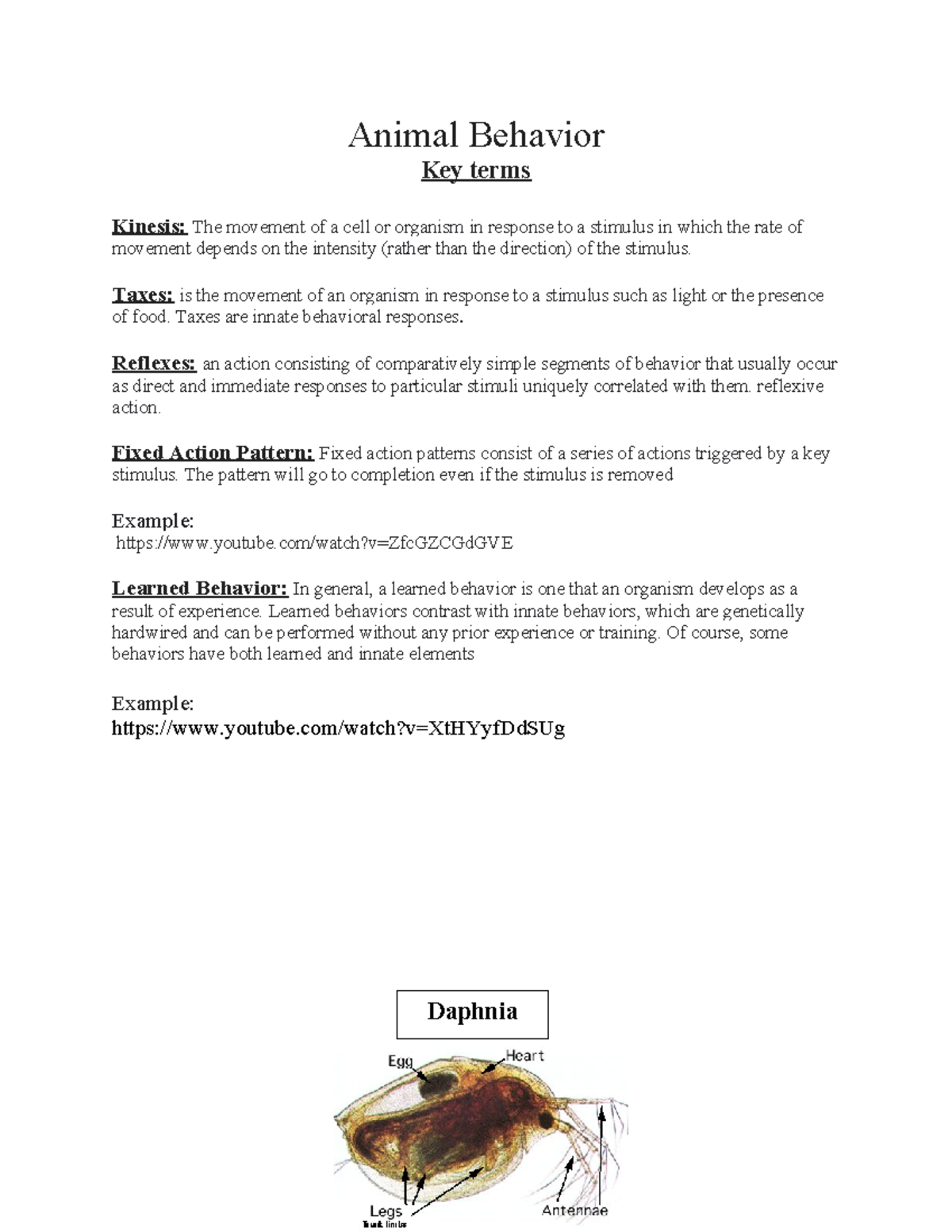Week 1 Ecology Lab and Animal Behavior - Animal Behavior Key terms ...