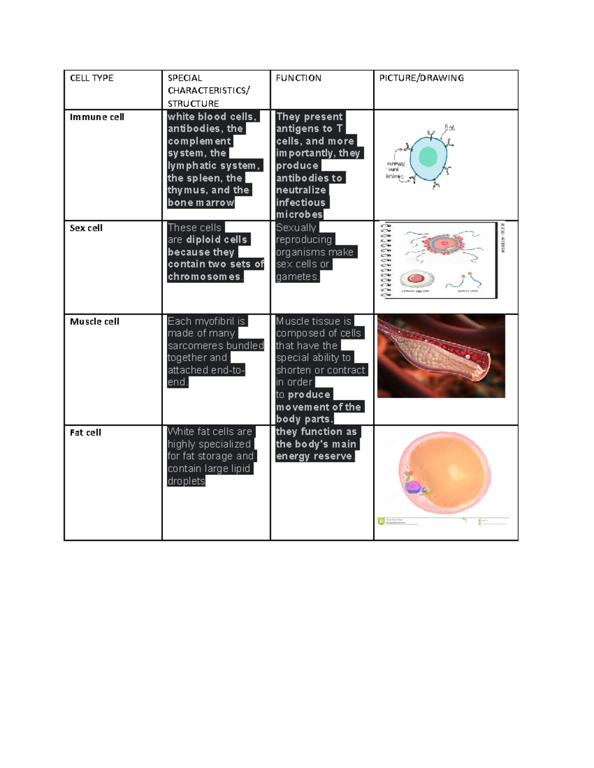 CELL TYPE - this is answer key - CELL TYPE SPECIAL CHARACTERISTICS ...