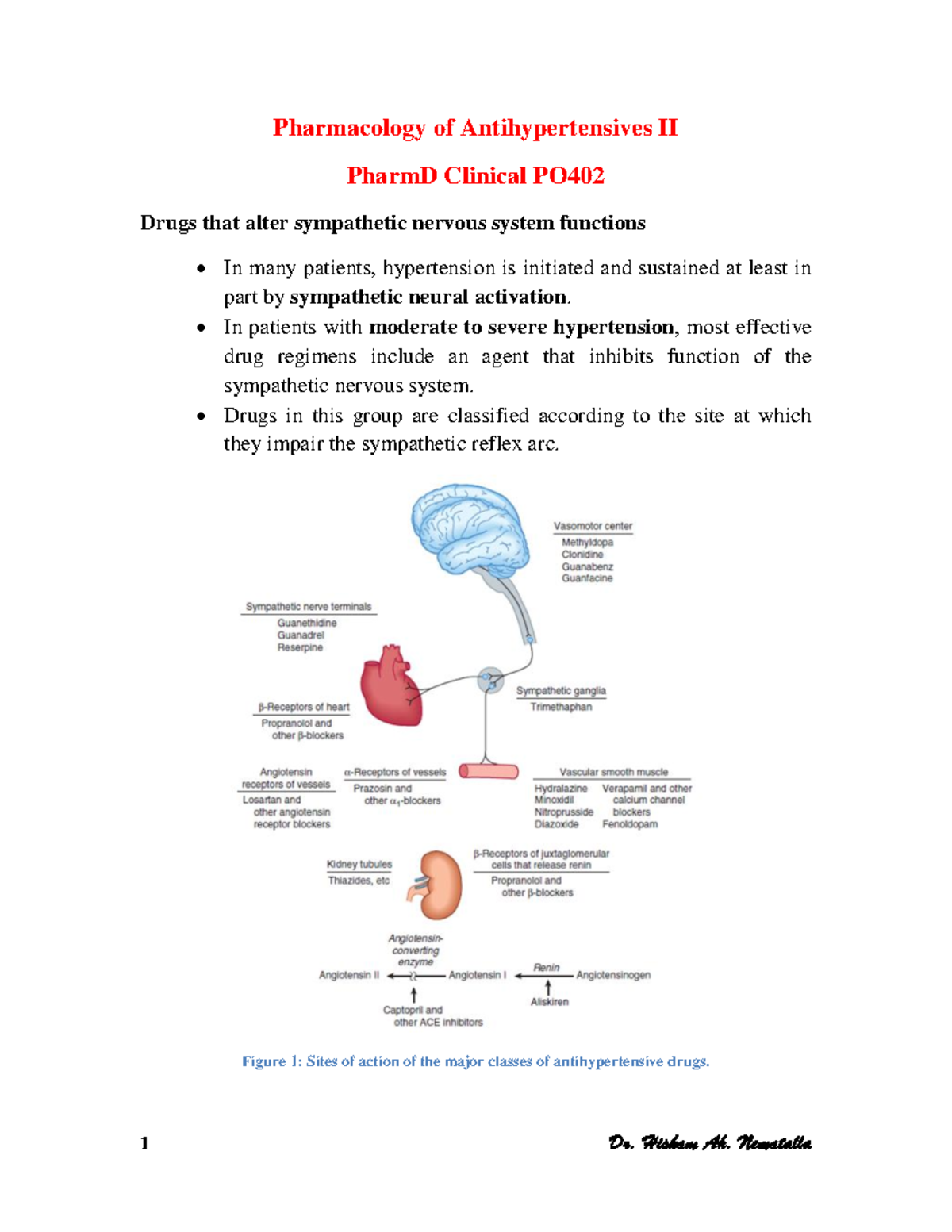 Pharmacology of Antihypertensives II Final - Pharmacology of ...
