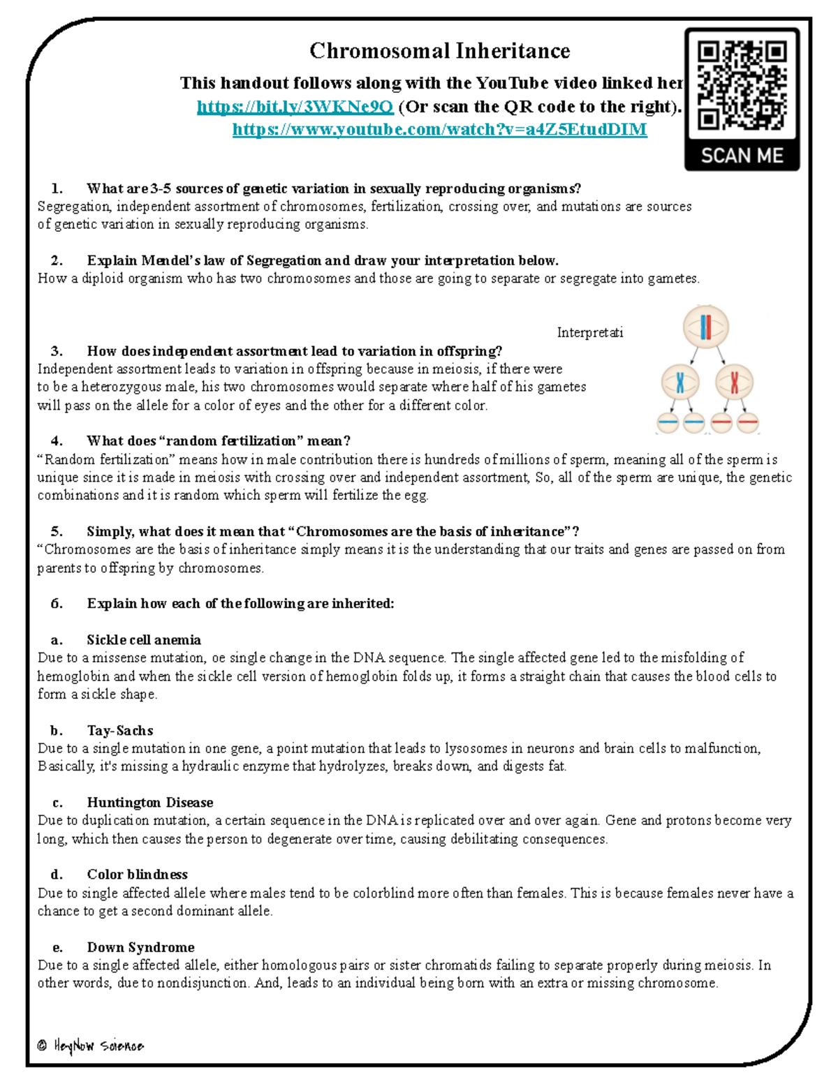 Chromosomal Inheritance Handout - © HeyNow Science What are 3-5 sources ...