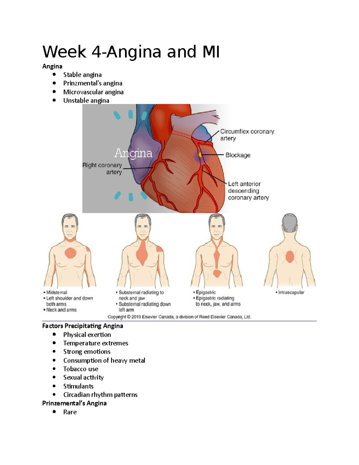 Week 4-Angina, CHD, MI - Lecture notes 4 - Week 4-Angina and MI Angina ...