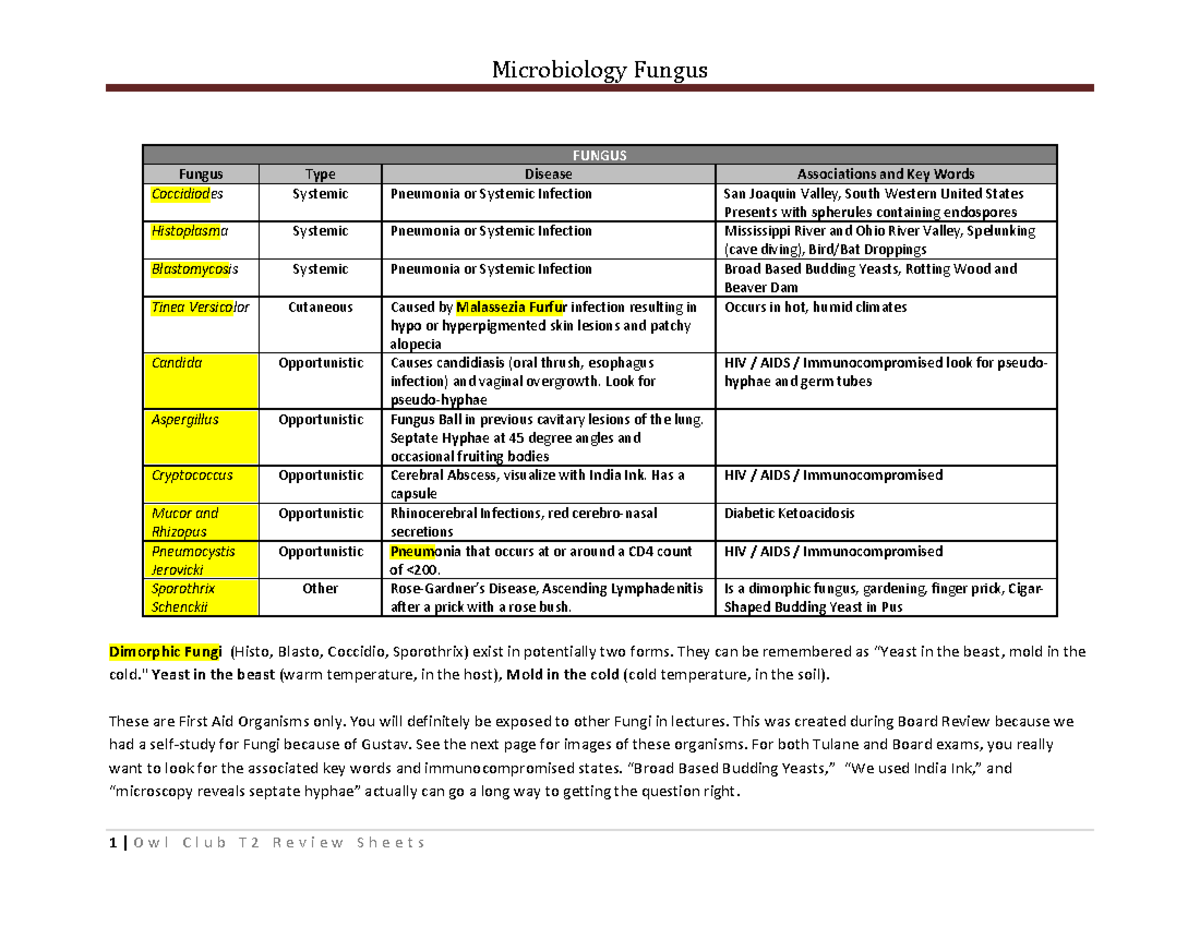 Microbiology fungus 1 - Microbiology Fungus 1 | O w l C l u b T 2 R e v ...