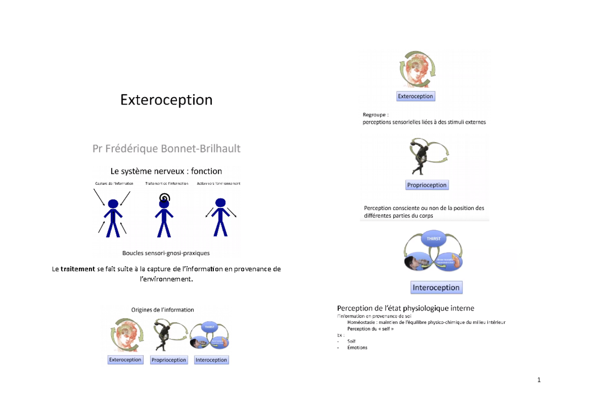 Extéroception (nouveau cours) - Le traitement se fait suite à la ...
