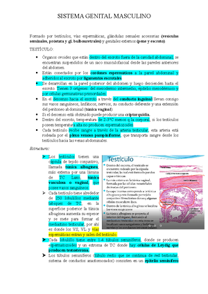 Sesion DE Practica 06- Tejido Conjuntivo LAXO- Denso- Reticular ...