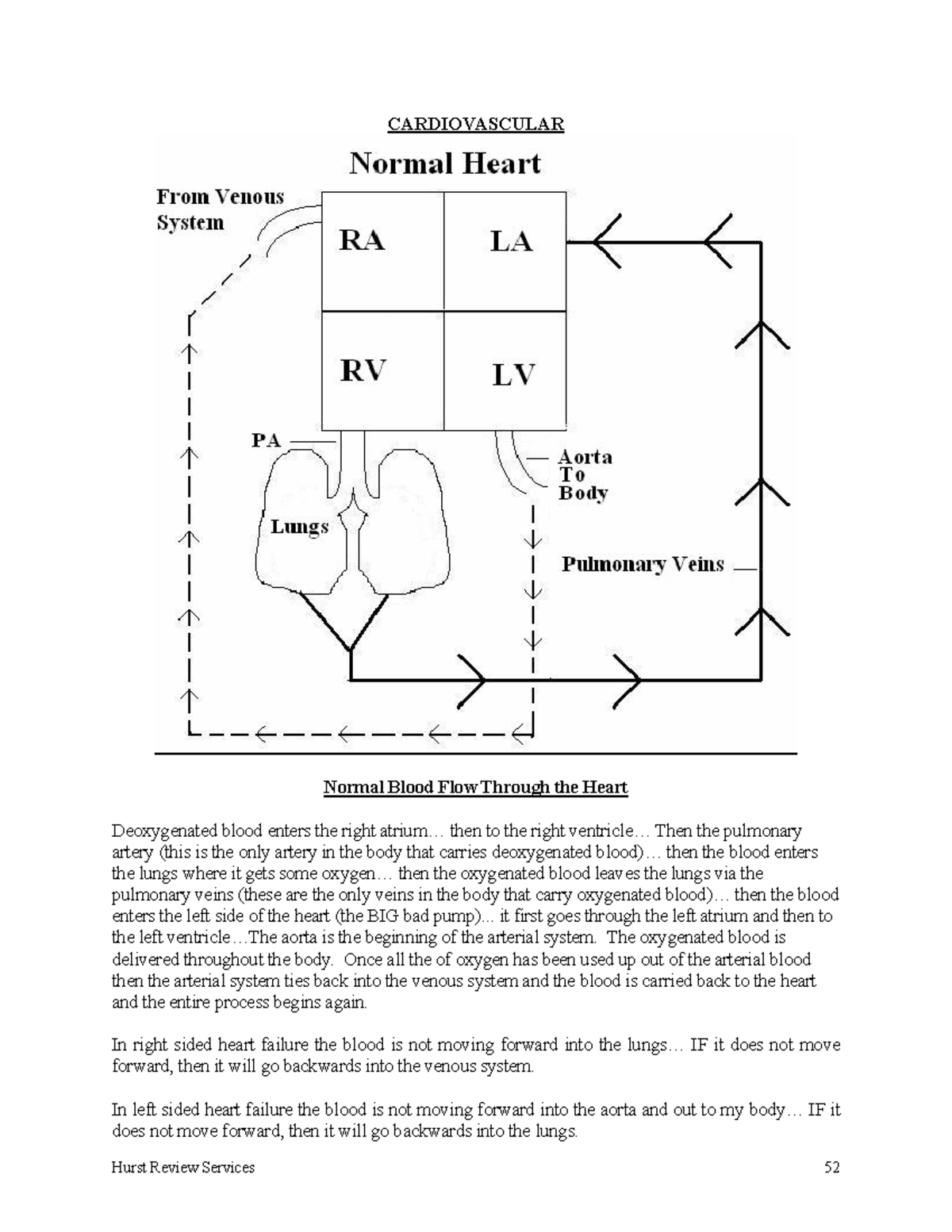 Cardiovascular notes part 1 - CARDIOVASCULAR Normal Blood Flow Through ...