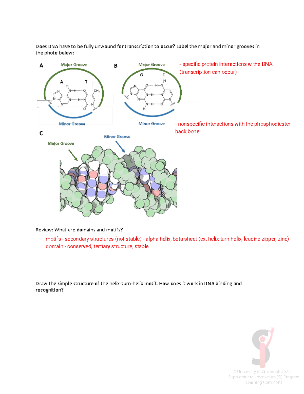 Regulation si session - Does DNA have to be fully unwound for ...