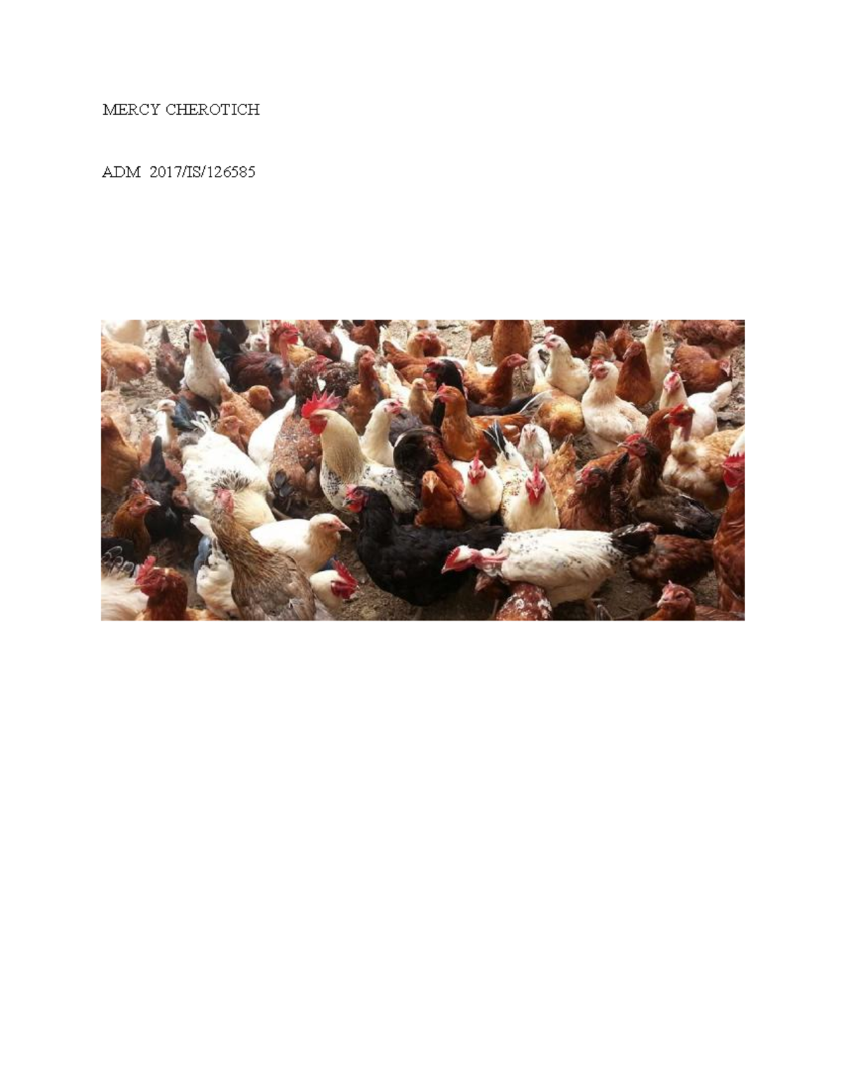 Business plan poultry farming - MERCY CHEROTICH ADM 2017/IS/ CHAPTER ...