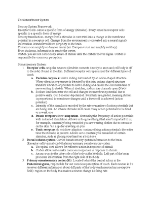 Ch. 10 Vision and Visual Perception - Chapter 10: Vision and Visual ...
