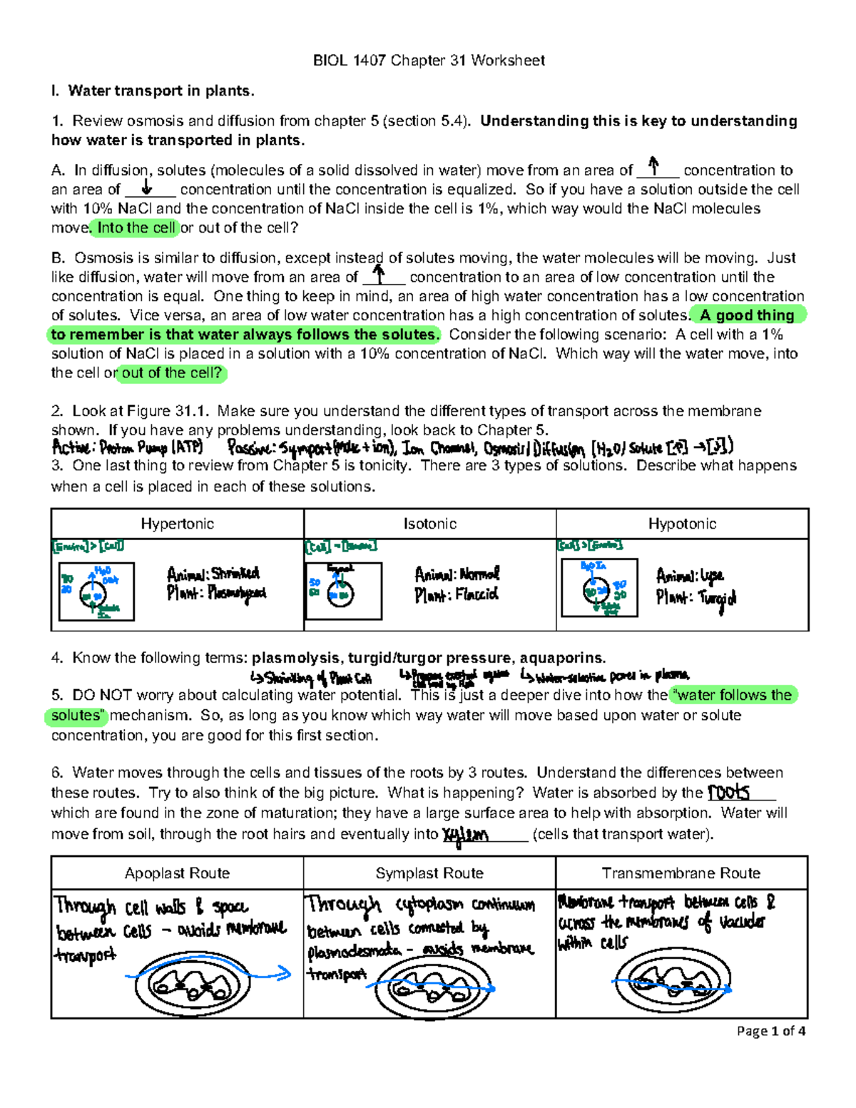 Chapter 31 workshet-1 - Page 1 of 4 BIOL 1407 Chapter 31 Worksheet I ...